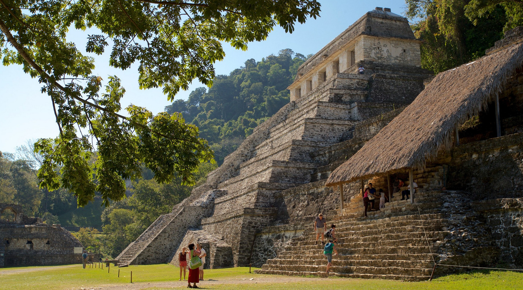 🇲🇽 Palenque - OCEAN POSSE