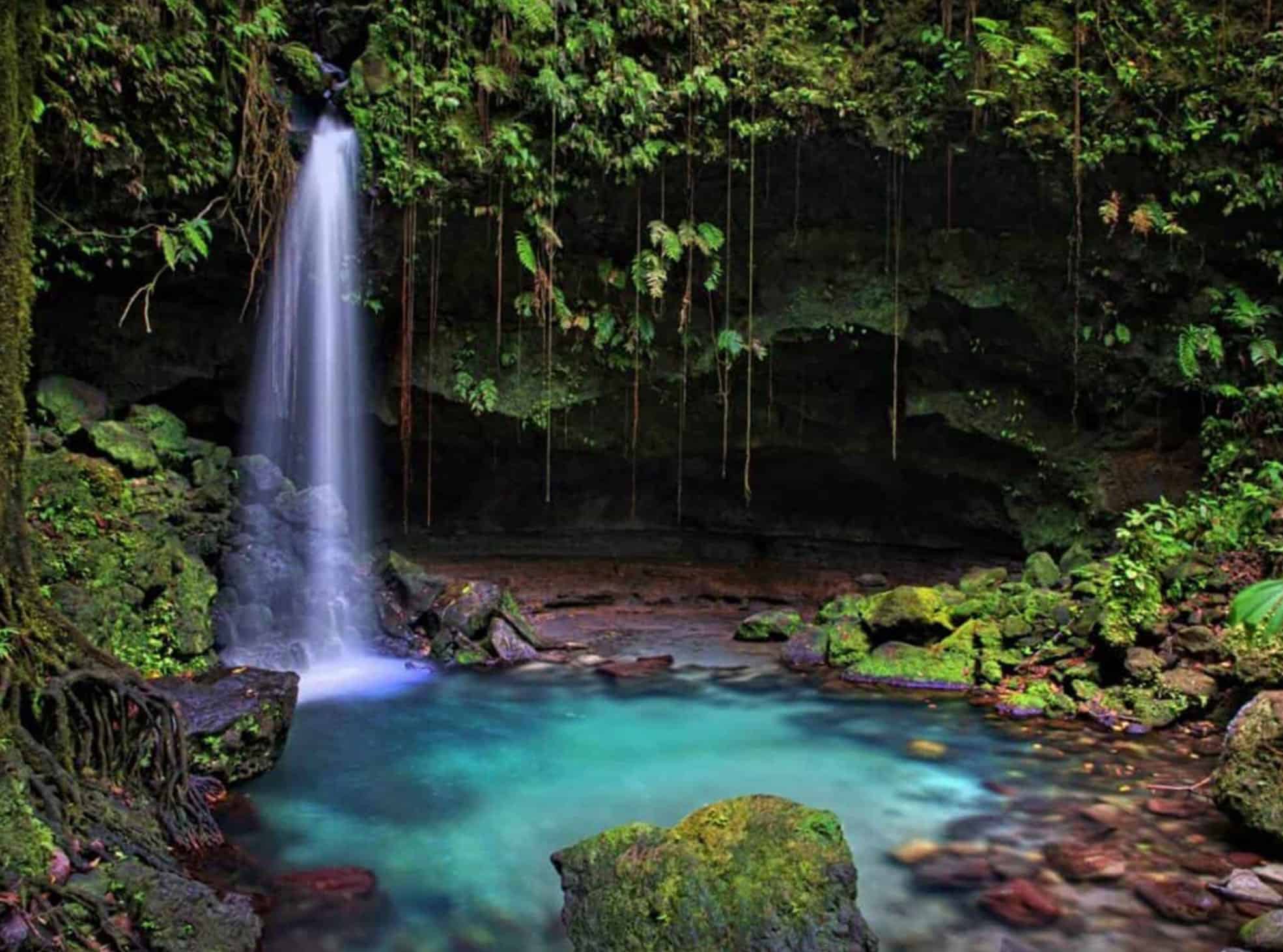 Morne Trois Pitons National Park Dominica - OCEAN POSSE